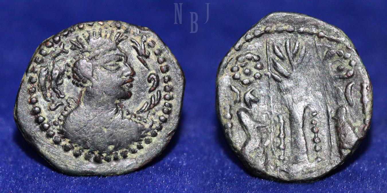 VAuctions.com - Hephthalites: Napki Malka 550-650 AD, Billon Drachm